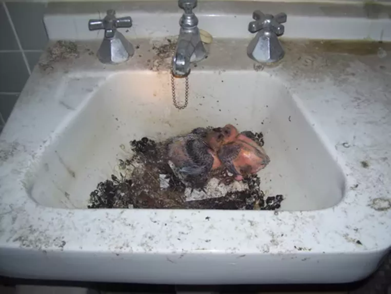 Inside Dallas' Empty, Dangerous Buildings | Dallas | Dallas Observer ...