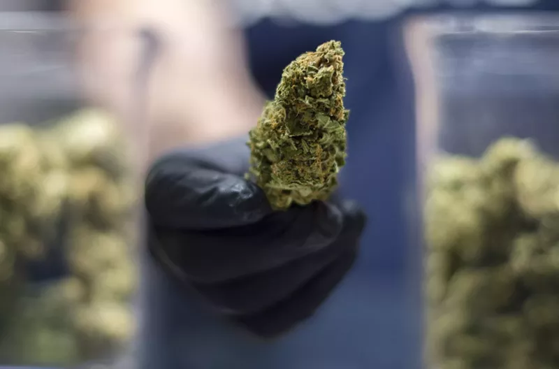 Texas Bill Could Expand State Medical Marijuana Program to Millions ...