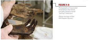 Dead Man's Creek: A Waterlogged Corpse in East Dallas Keeps His Secrets ...