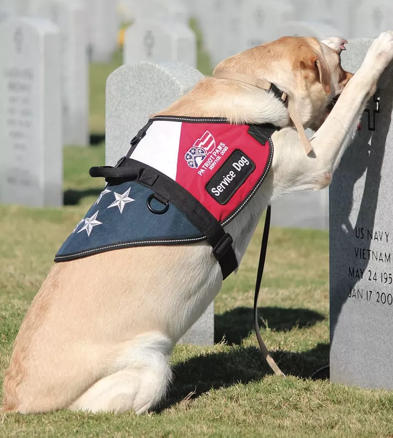 Pet Supplies Plus and Natural Balance Partner With Patriot PAWS To ...