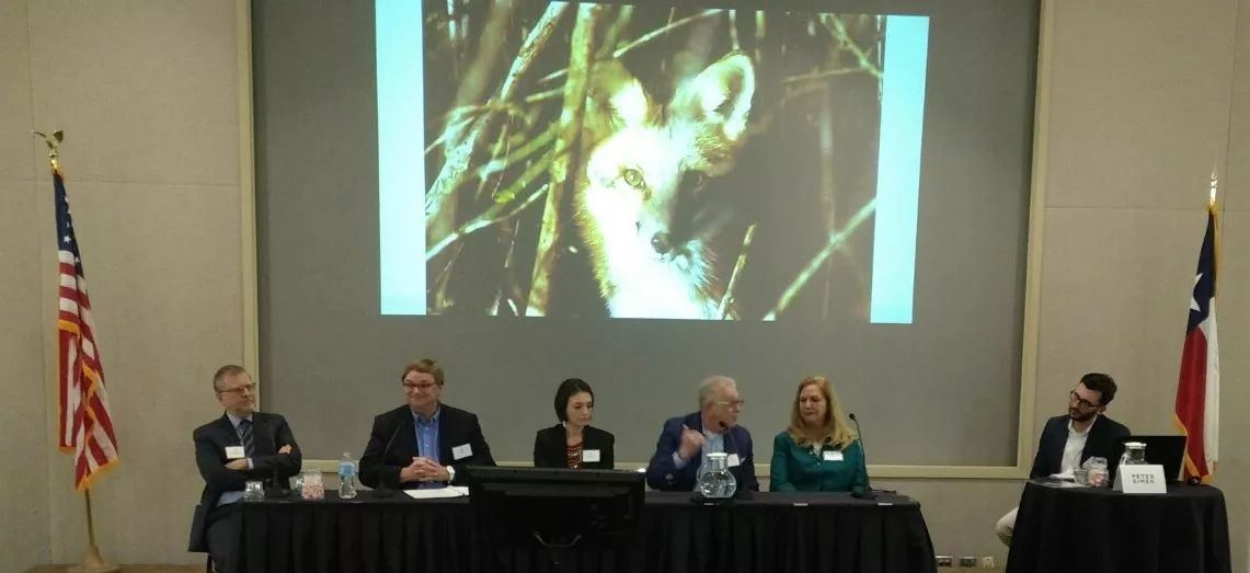 Dallas Trinity Project Would Hold 12 NYC Central Parks | Dallas Observer