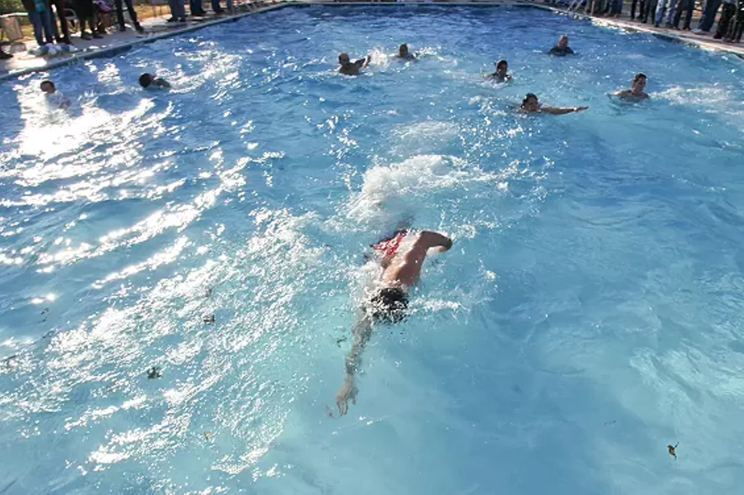 Polar Plunge at the FOE Pool | Dallas | Dallas Observer | The Leading ...