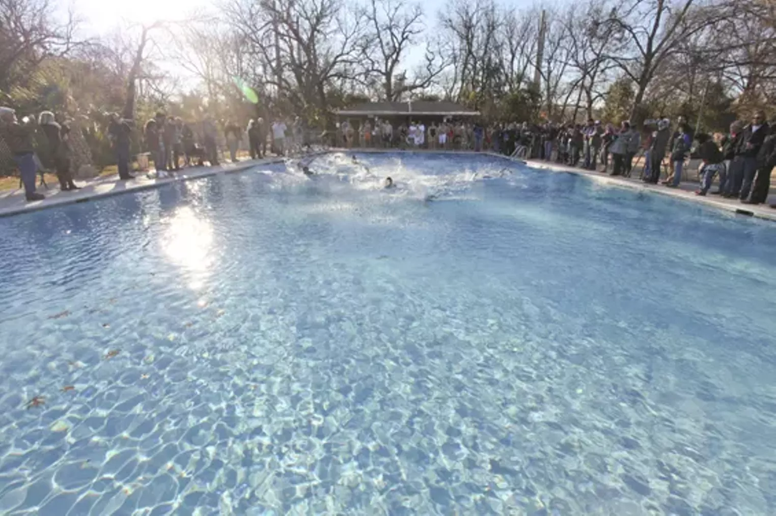 Polar Plunge at the FOE Pool | Dallas | Dallas Observer | The Leading ...